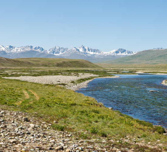 Deosai Tour | Visit Deosai National Park on 4x4 - Rozefs Tourism