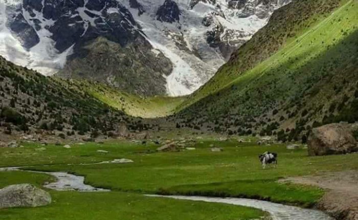 Top Vacation Tours in Pakistan - Rozefs Tourism - Tourism Pakistan ...